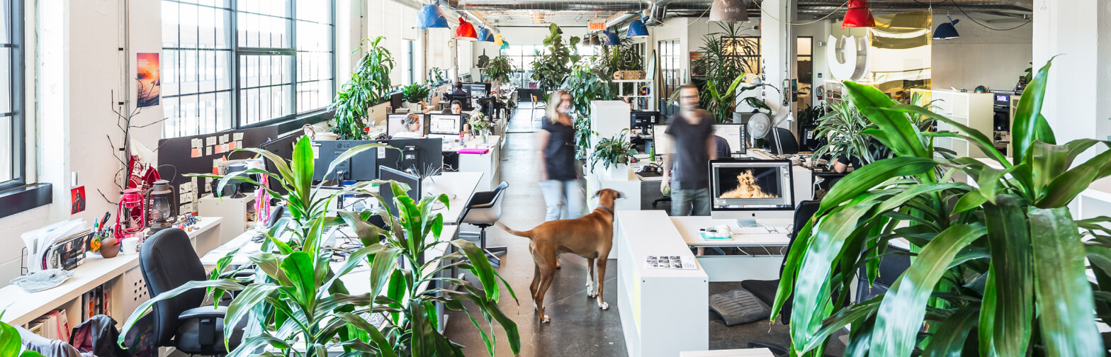 Job Moment Factory - Documentalist Permanent contract